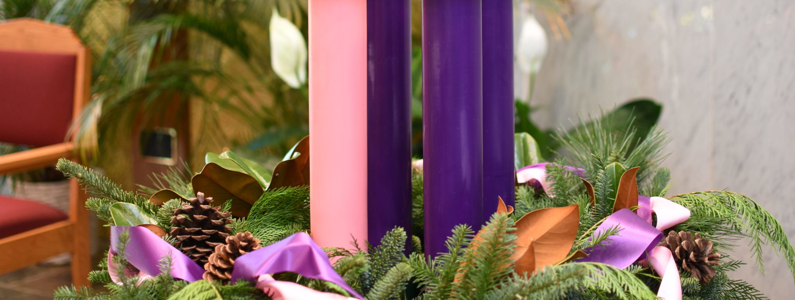 Advent At Home - Nativity Catholic Church