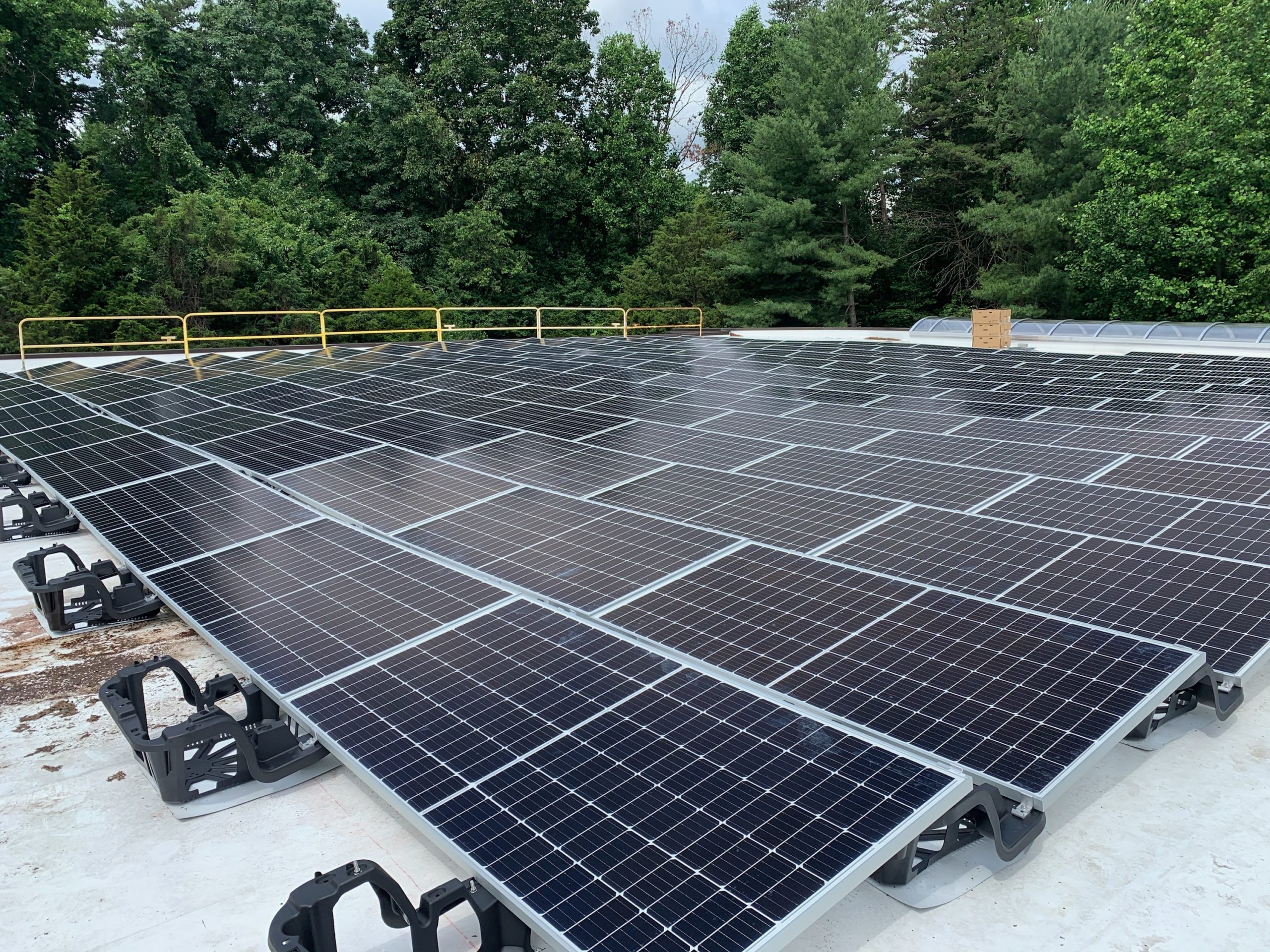 Shout From the Rooftops - Nativity Catholic Church