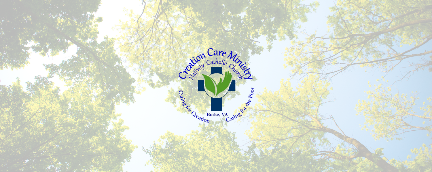 Creation Care Ministry | Join Us! - Nativity Catholic Church